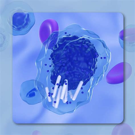 Liso Cel Shows Broad Spectrum Activity In Cibmtr Cohort Of Relapsed