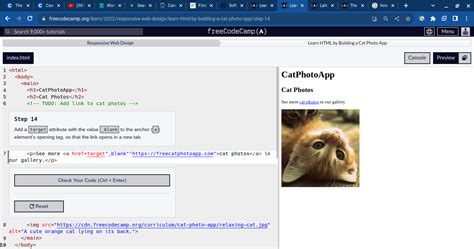 Learn HTML By Building A Cat Photo App Step HTML CSS The FreeCodeCamp Forum