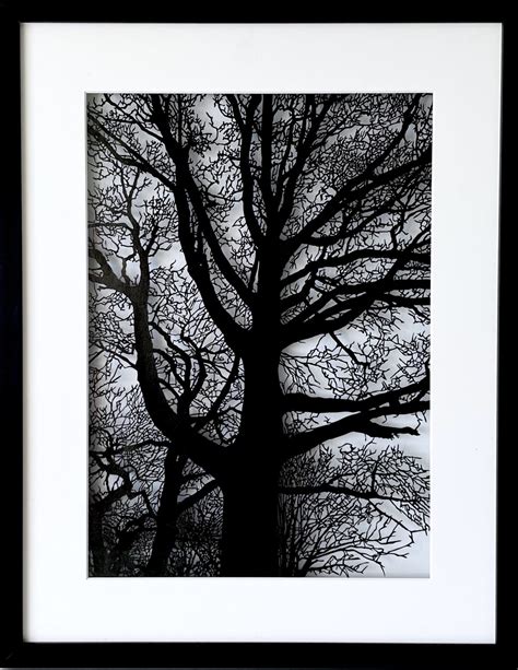 Olivia Rawnsley Quercus IV Tree Unique Artwork No Naked Walls