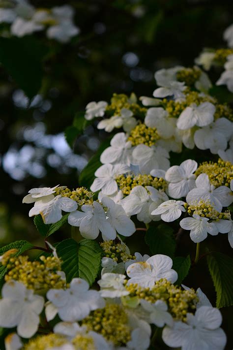 Trivia Background Photos Download The Best Free Trivia Background