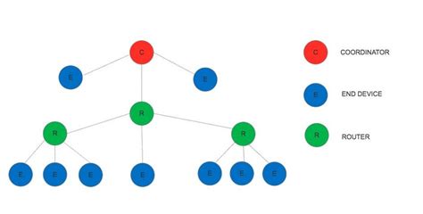 Tree Topology Example Download Scientific Diagram