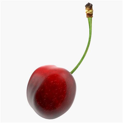 Cherry V1 Free 3d Model Obj Stl Free3d