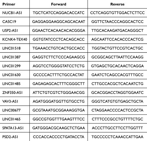 The Cerna Regulatory Network In Vitiligo Evidence From Bioinformatics