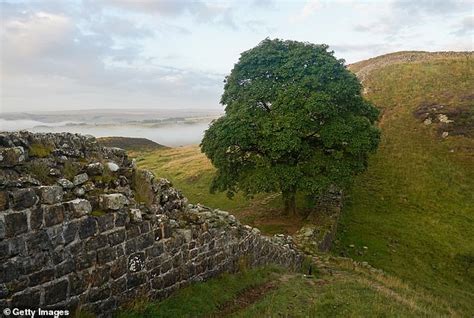 THECOCONUTWHISPERER Decolonizing Hadrian S Wall