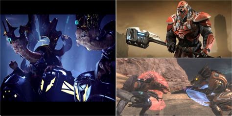 Halo 4 Covenant Species Halo How Many Species Are In The Covenant