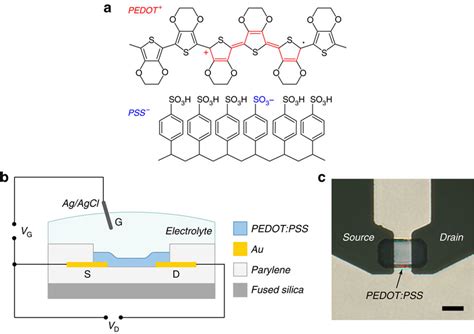 Active Material And Structure Of The Transistor A Chemical Structure Download Scientific
