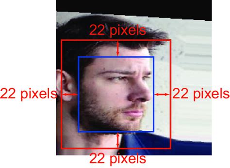 Face Region Detected By MTCNN Blue Rectangle And Enlarged Face Region Download Scientific