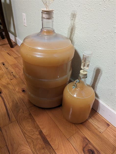 Peach And Apricot Mead Finishing Fermentation Rmead