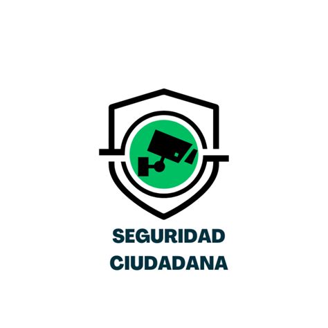 Seguridad Ciudadana Vivepelluhue