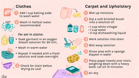 How To Remove Dry Urine Stains From Carpet Homeminimalisite Com