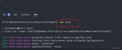 sap fiori vs code 开发环境「部署」 sap fiori开发工具 csdn博客