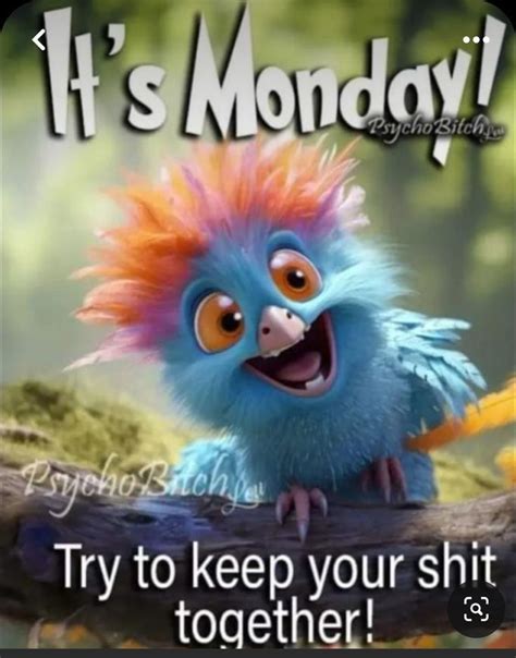 Funny Good Morning Quotes