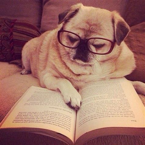 And As You Can See Right Here On This Page It Says I Cant Read