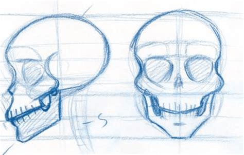 How To Draw The Skull