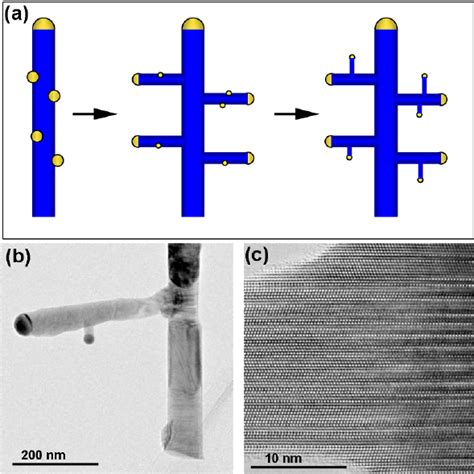 Branched Nanowires Synthesized Through Sequential Seeding Following The
