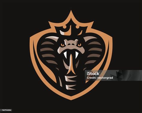 뱀 현대 로고입니다 스포츠 및 Esport 팀을위한 바이퍼 엠블럼 디자인 템플릿 0명에 대한 스톡 벡터 아트 및 기타 이미지 0명 독사류 독성 물질 Istock