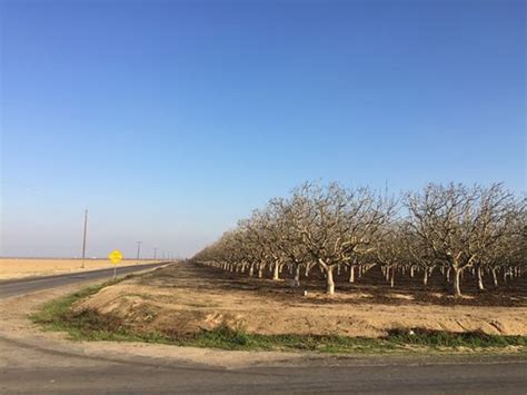 Transitioning Out Of Open Access Ecologic Institute