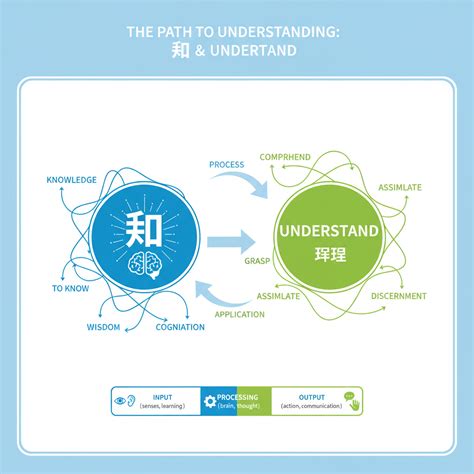 Unveiling The Semantic Disparities Between Know And Under