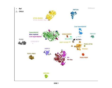 Rna Sequencing Analysis May Offer More Accurate Diagnosis For Common Pediatric Cancer Clinical