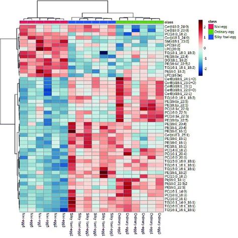 Heatmap Cluster Analysis Based On Top 50 Molecular Species In The 3