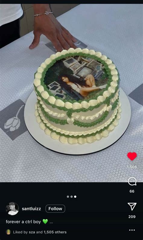 Ctrl Cake Sza In 2025 Sza Birthday Simple Birthday Decorations Cake Cover