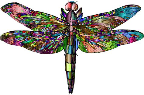 Colorful Dragonfly Art