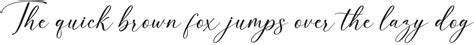 best script bundle collection a script font by bungletter