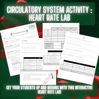 Pulse Heart Rate Lab Data Collection Calculations And Analysis