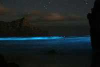 Bioluminescent Plankton Koh Rong 2020 Images Timings Holidify