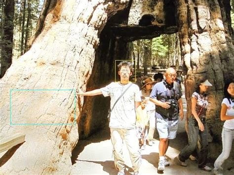 Effectiveness Of The Spe On A Real World Example A Low Light Input Download Scientific