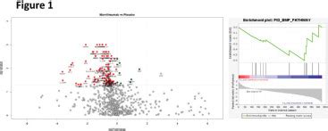 Op0024 Blocking Gm Csf Receptor Alpha With Mavrilimumab Reduces