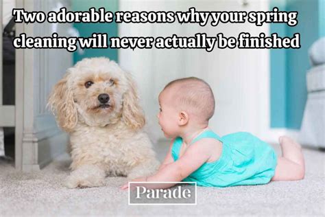 28 Funny Spring Cleaning Memes That Will Make You Lol Parade