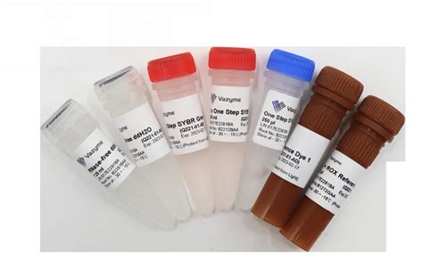 Hiscript Ii One Step Qrt Pcr Sybr Green Kit Vazymebiotechhu