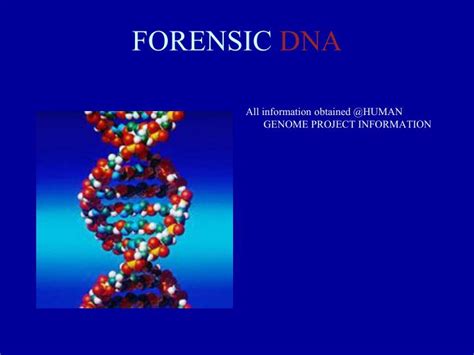 PPT FORENSIC DNA PowerPoint Presentation Free Download ID 3580526