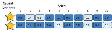 Ld Between Causal And Genotyped Snps And Synthetic Association Snps Download Scientific