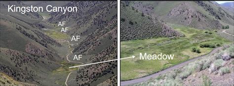 Sensitivity And Resilience Of Great Basin Riparian Systems Gallery Us