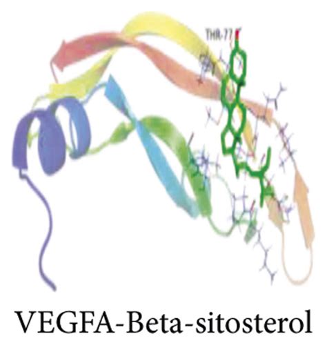 Molecular Docking Structure Diagram A Il 6 Quercetin B Download Scientific Diagram