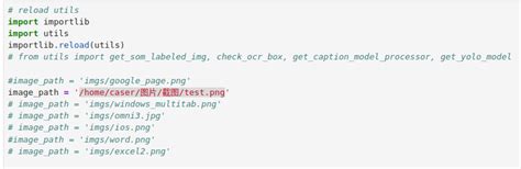 Omniparser V2本地部署（1）部署omniparserv2模型 Csdn博客