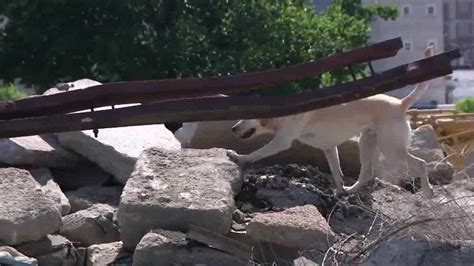 Nebraska Task Force 1 Structural Collapse Training In Lincoln