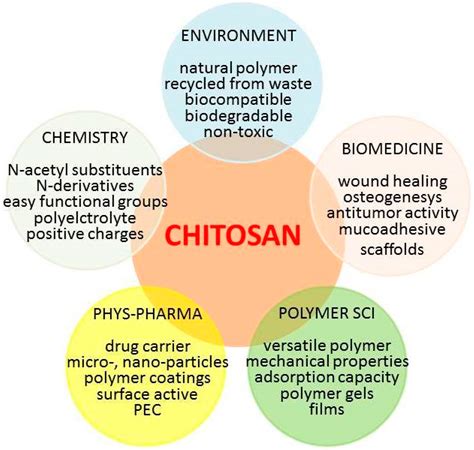The Good The Bad And The Ugly” Of Chitosans
