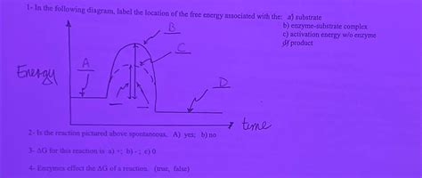 Solved 1 ﻿in The Following Diagram Label The Location Of