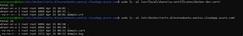 Docker Behind A Proxy Pull From Azure Container Registry Works But