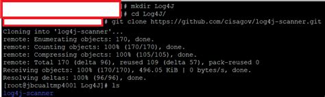 How To Use The CISA Log J Scanner