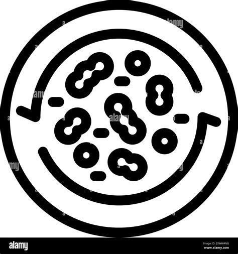 Bacteria Under Microscope Being Studied Showing Cell Division And