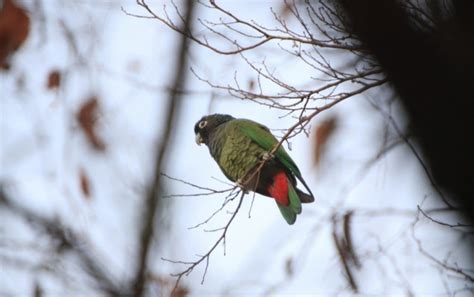Parque Nacional El Rey ~ Parquesymuseos ~