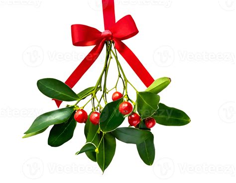 Ai Generated New Year Mistletoe 34917377 Png