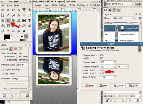 Nicu S How To Reflecting Images On Surfaces With Inkscape And GIMP