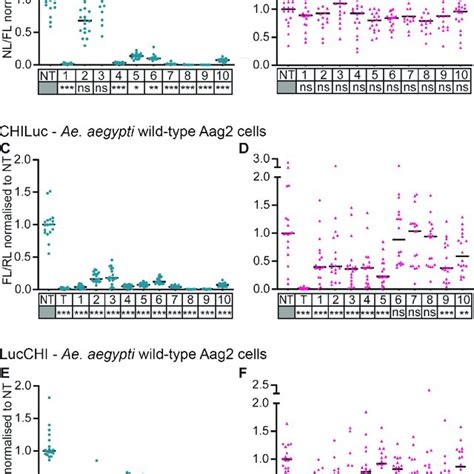Effect Of Small Rnas On Expression Of A Chikv Split Replication System