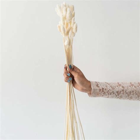 Rust Phalaris Dried Grass Decor Grass Whispering Homes