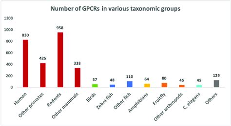 Number Of Sequences In Different Groups Of Organisms In The Gpcr